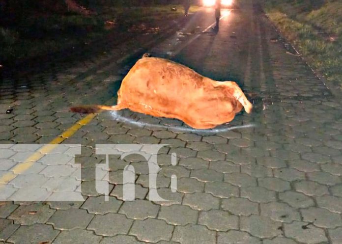 Irresponsable Conductor Provoca Accidente En Jalapa Tn8 Tv